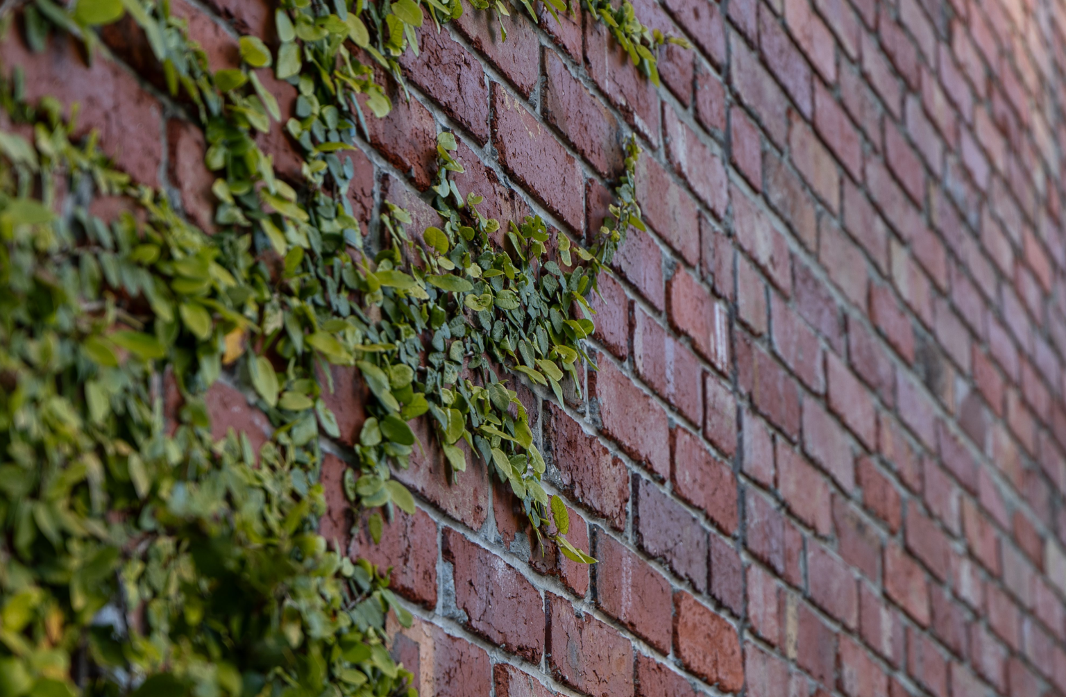 Brick Slices - Form Brick | Brick Inlay Facade Solutions